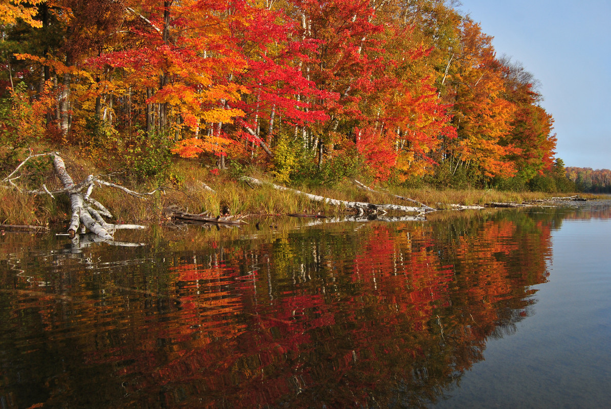 195fall — Postimages