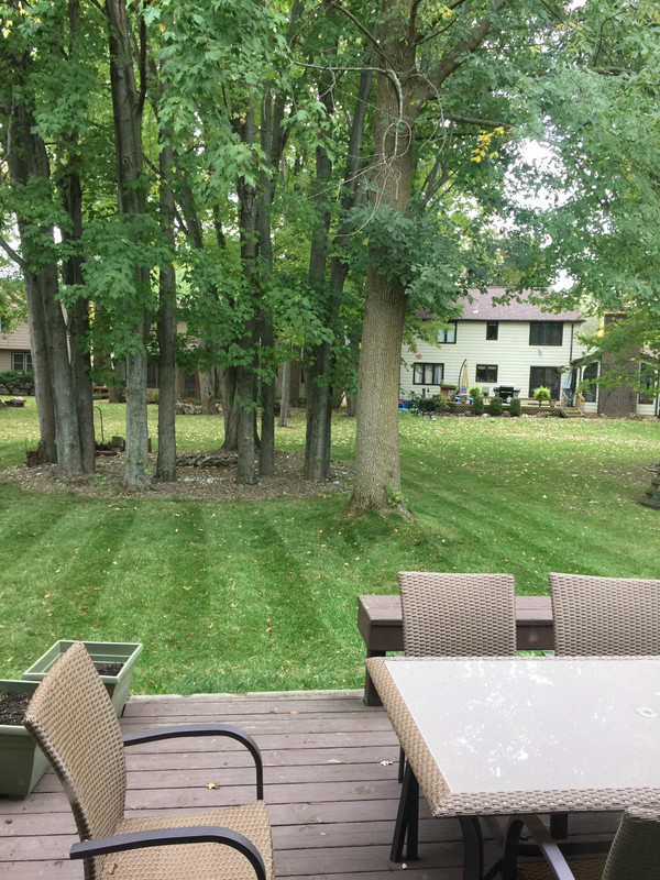 IMG 5463 — Postimages