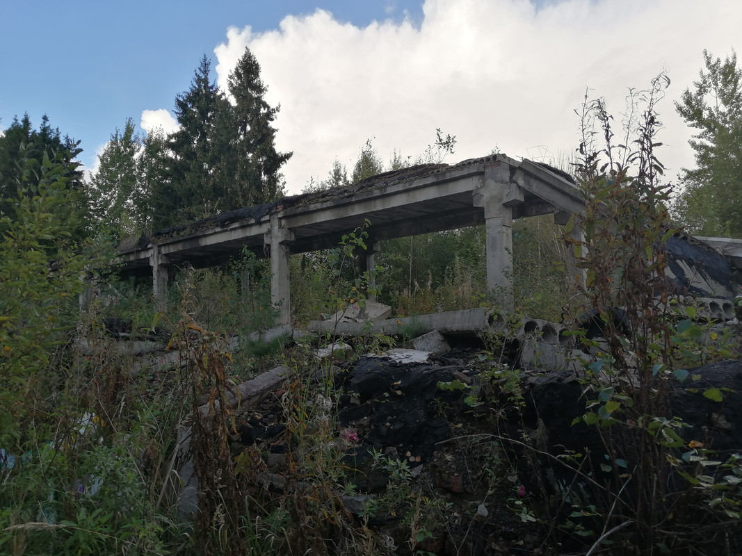 IMG 20210904 174223 — Postimages