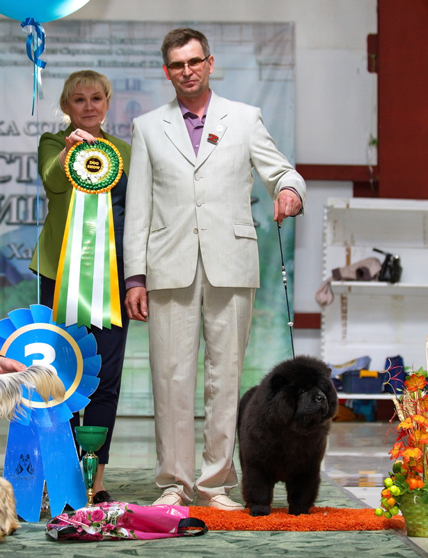 IMG 0146 для инт — Postimages