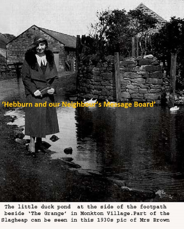 Duckpond in Monkton with Mrs Brown 1930s — Postimages