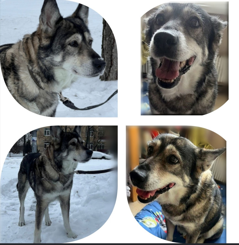 Screenshot 20240209 101005 — Postimages