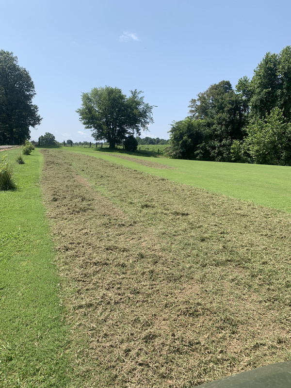 Help with verticutter/dethatcher (pto) | Lawn Care Forum