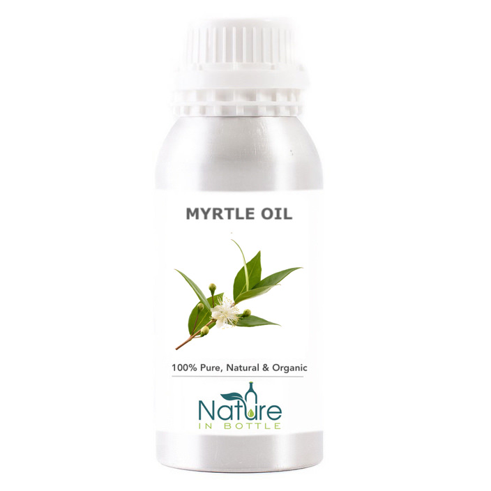 Myrtle Essential Oil Organic - Green Myrtus Communis