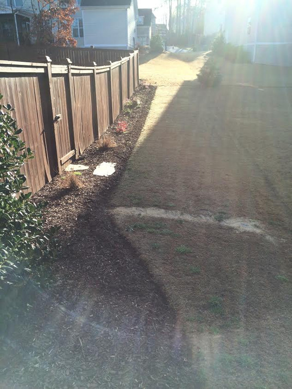 Backyard Post Landscape 5 — Postimages