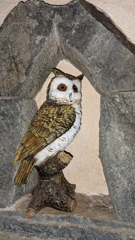 IMG 20190601 215146 — Postimages