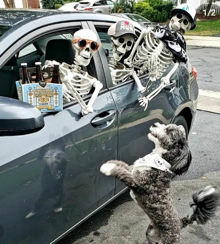 20221002 192910 — Postimages