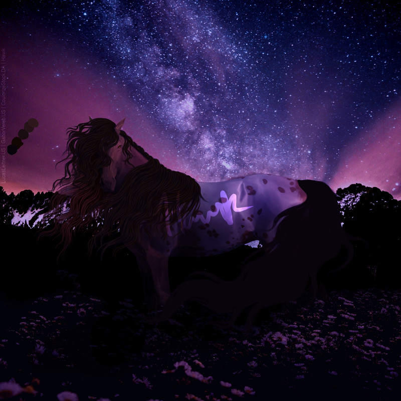 Dreamer Wip — Postimages