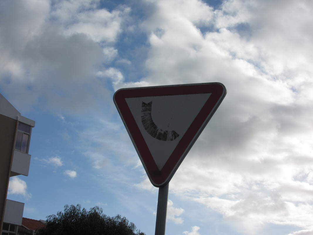 IMG 8660 — Postimages