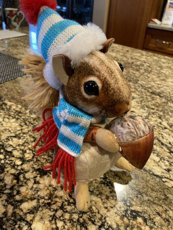 IMG 2954 — Postimages