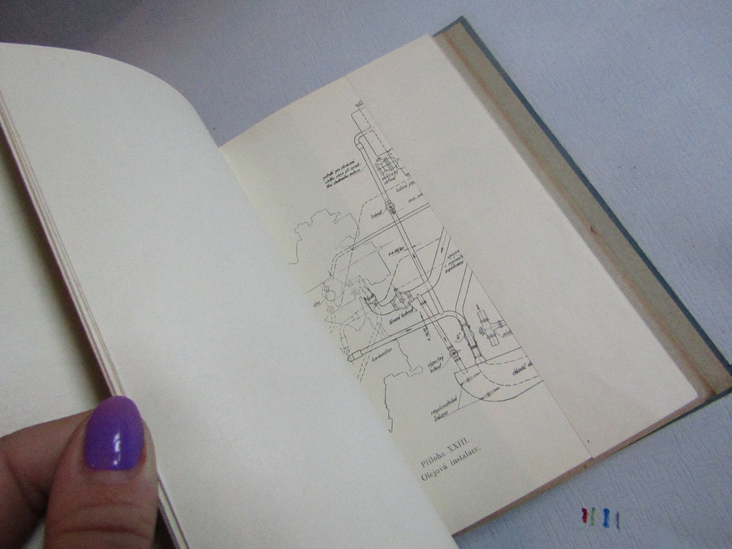 IMG 8025 — Postimages