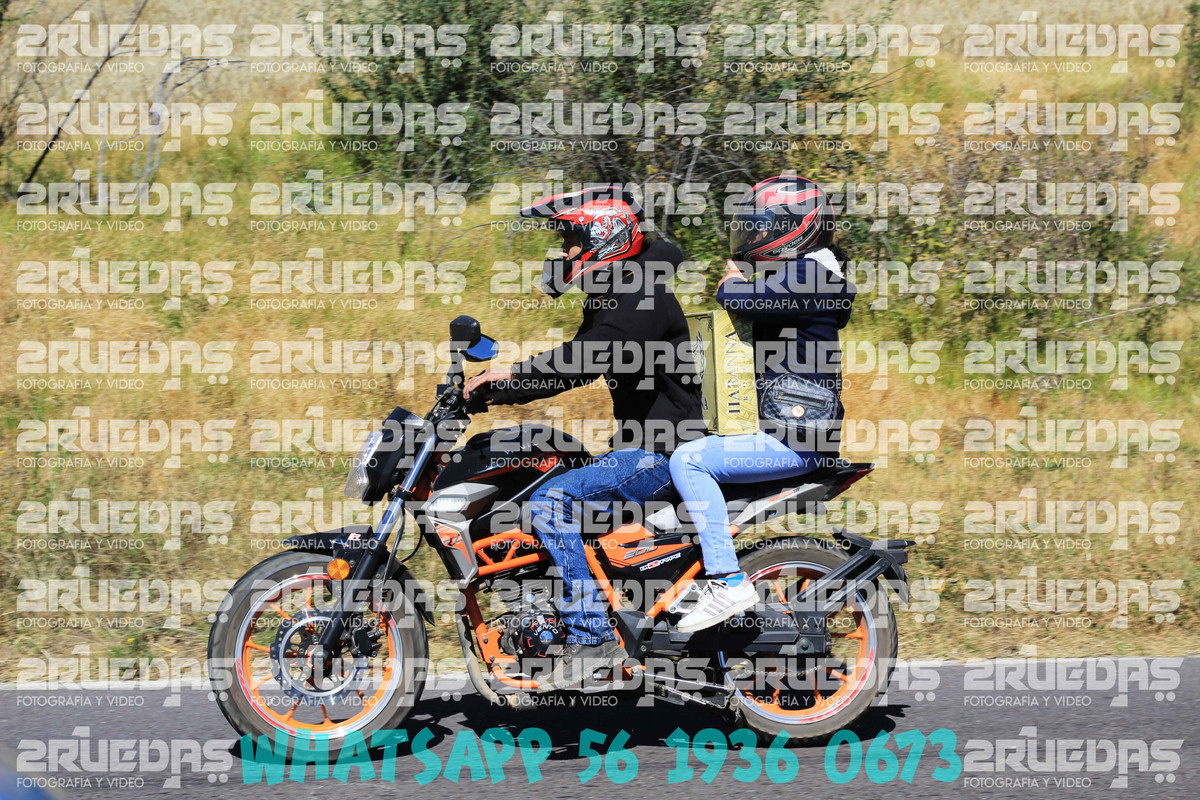 IMG 0557 — Postimages