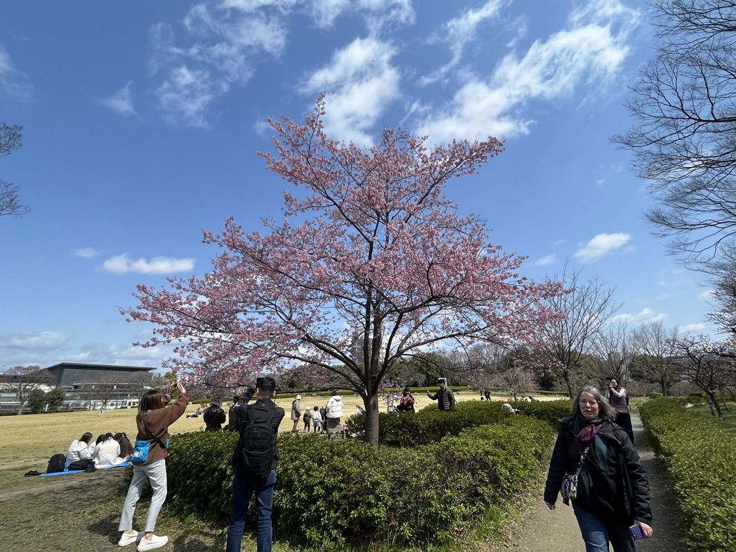 A385 F0 E0 74 A0 480 E A3 AB DDCF8 B6637 E6 — Postimages