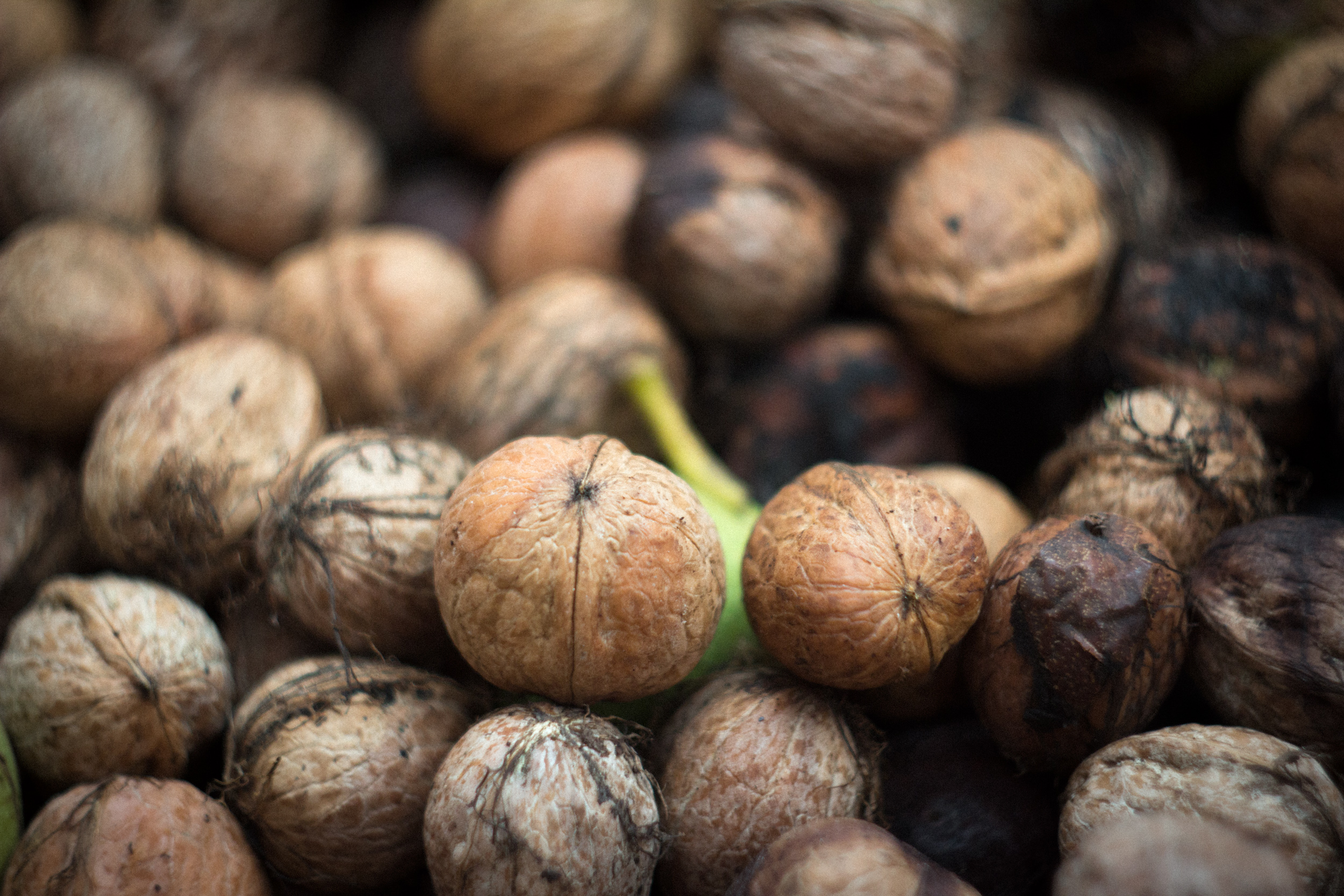 greec ph 1 — Postimages