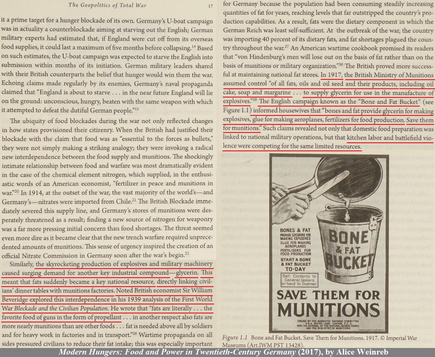 WW1 Modern Hungers 2017 Corpse Factory Story explosives glycerin fat ...