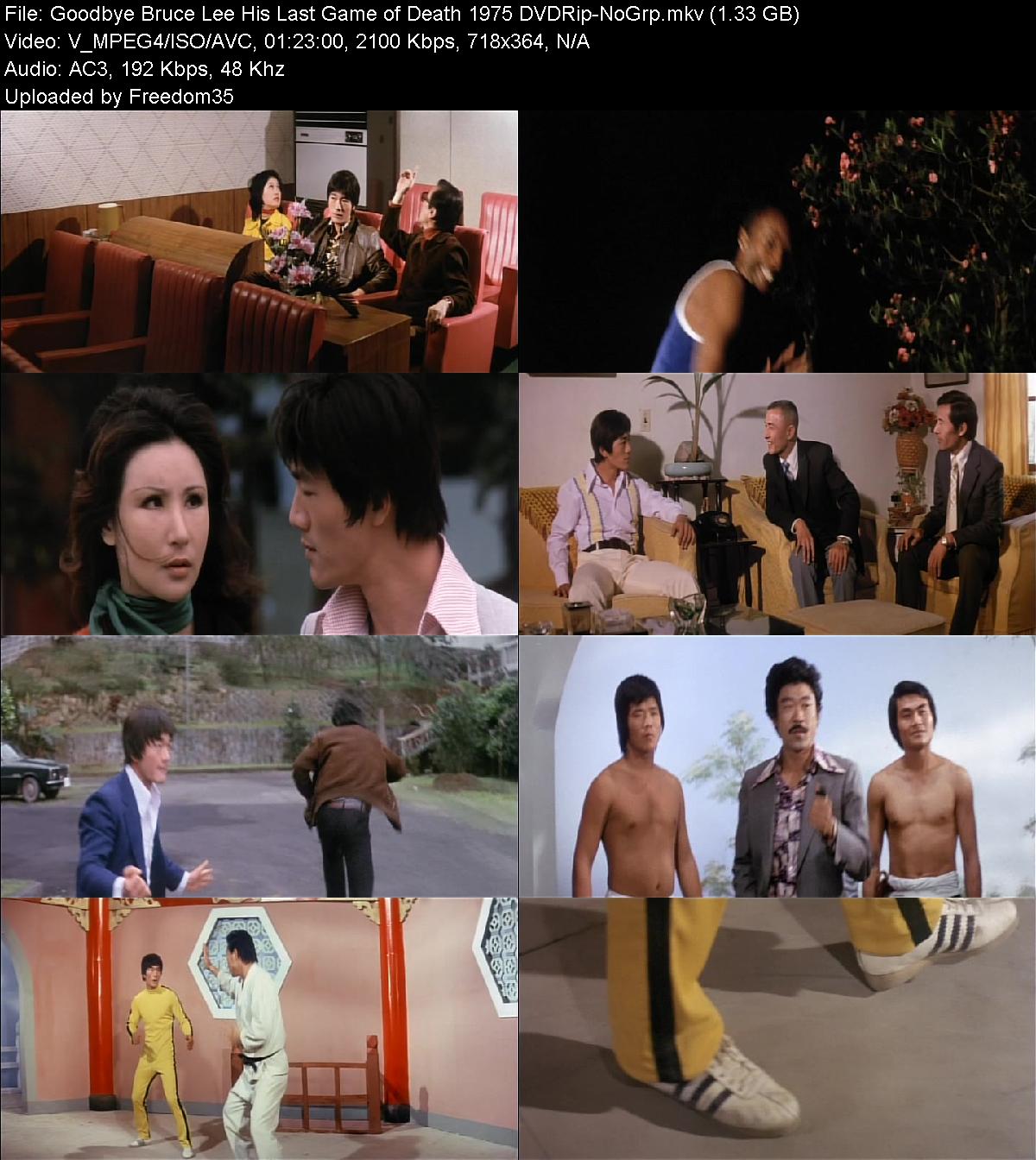 Goodbye Bruce Lee His Last Game of Death 1975 DVDRip No Grp — Postimages