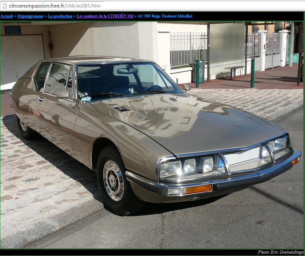 Beige Tholonet métallisé — Postimages