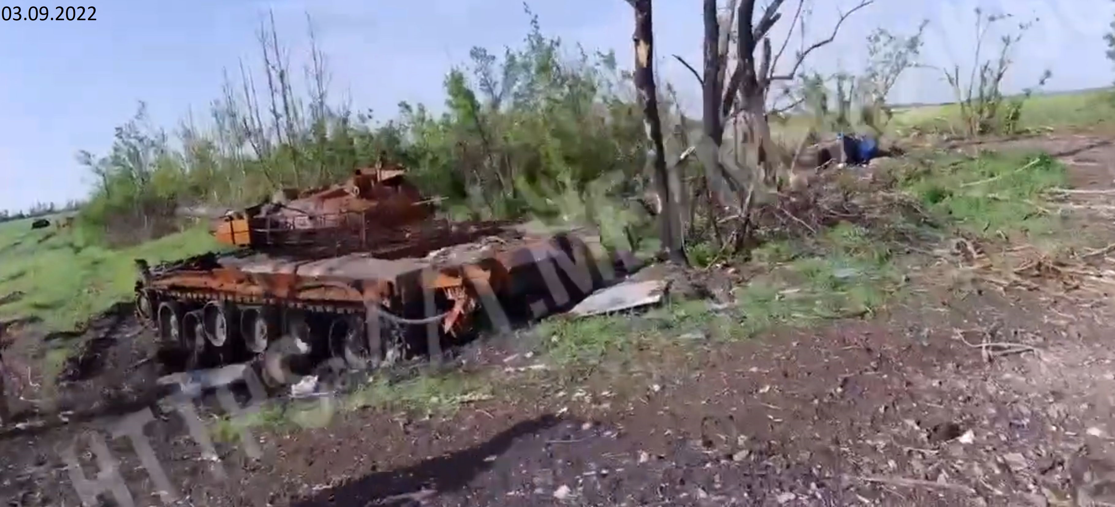 1002 t80bv — Postimages