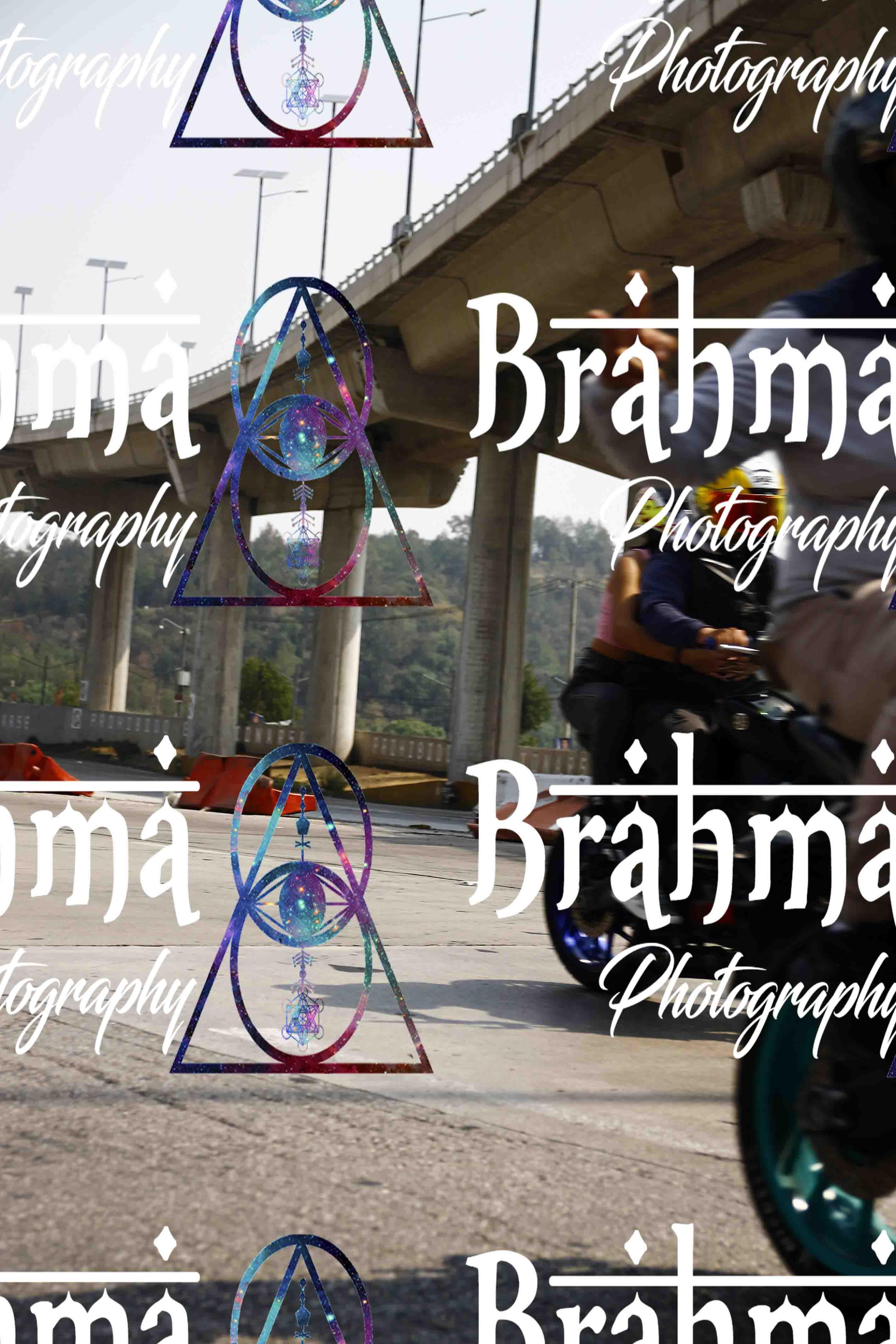 MG 1529 — Postimages