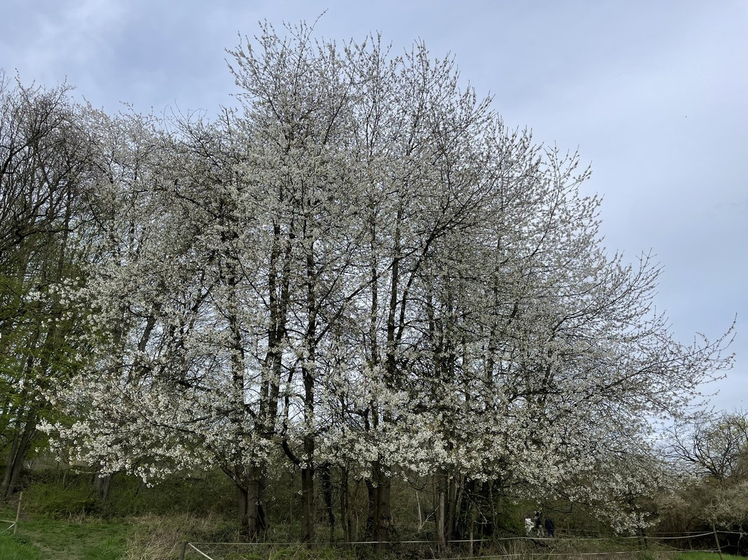 DF159 FB2 902 B 43 E9 B189 722 E66 FC58 F1 — Postimages