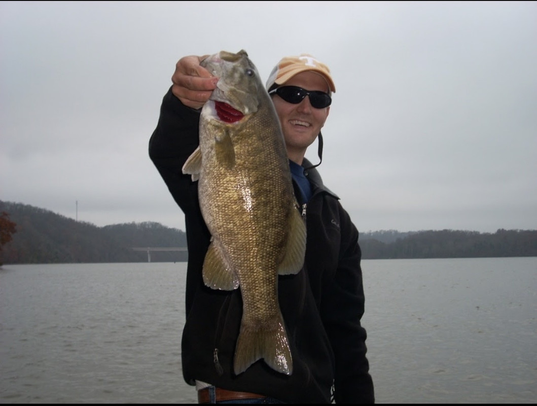 Strike King Red Eye Shad vs Bill Lewis Rat-L Trap - Fishing Tackle ...