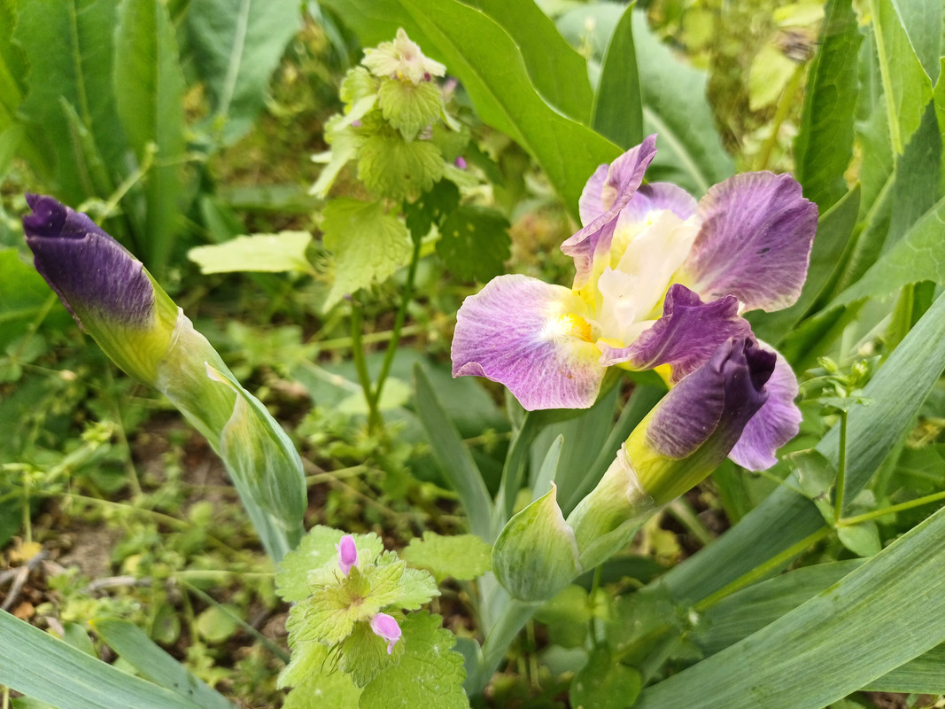 20240417 174154 — Postimages