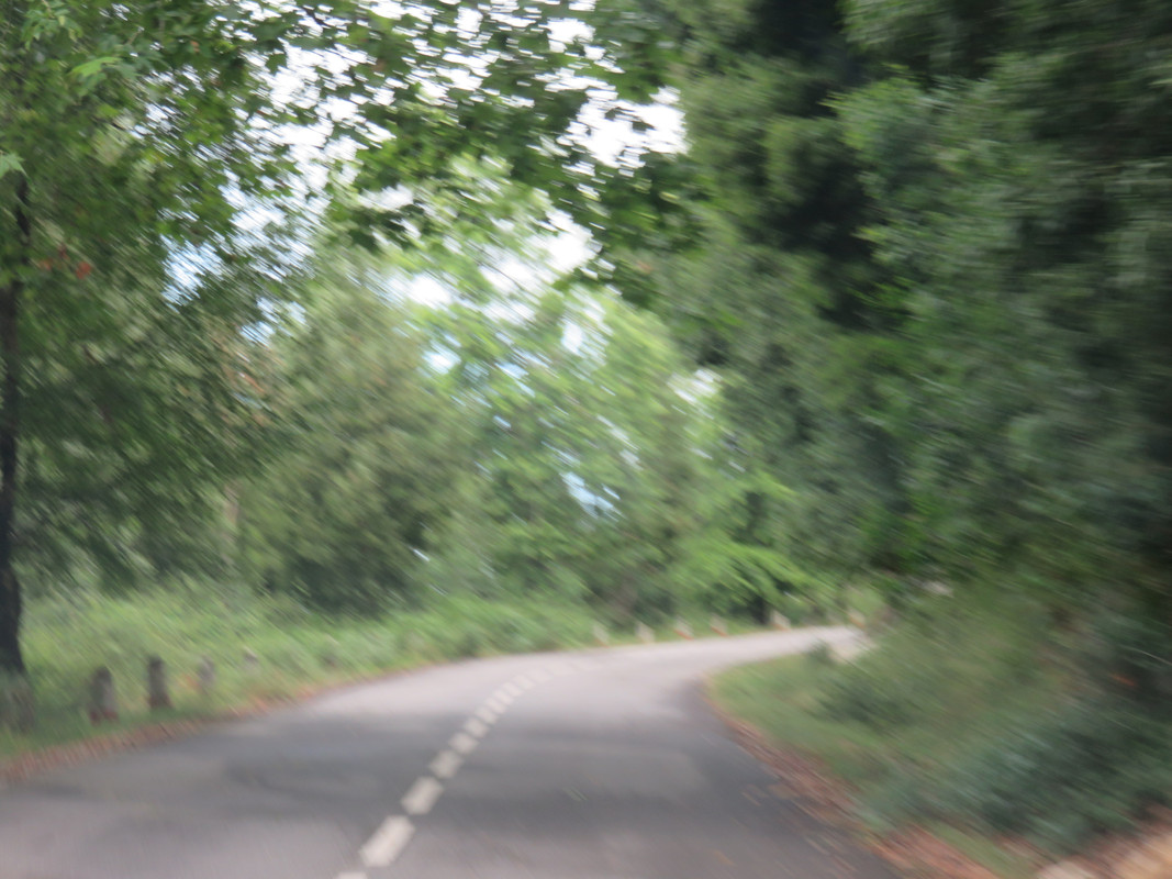 IMG 2232 — Postimages