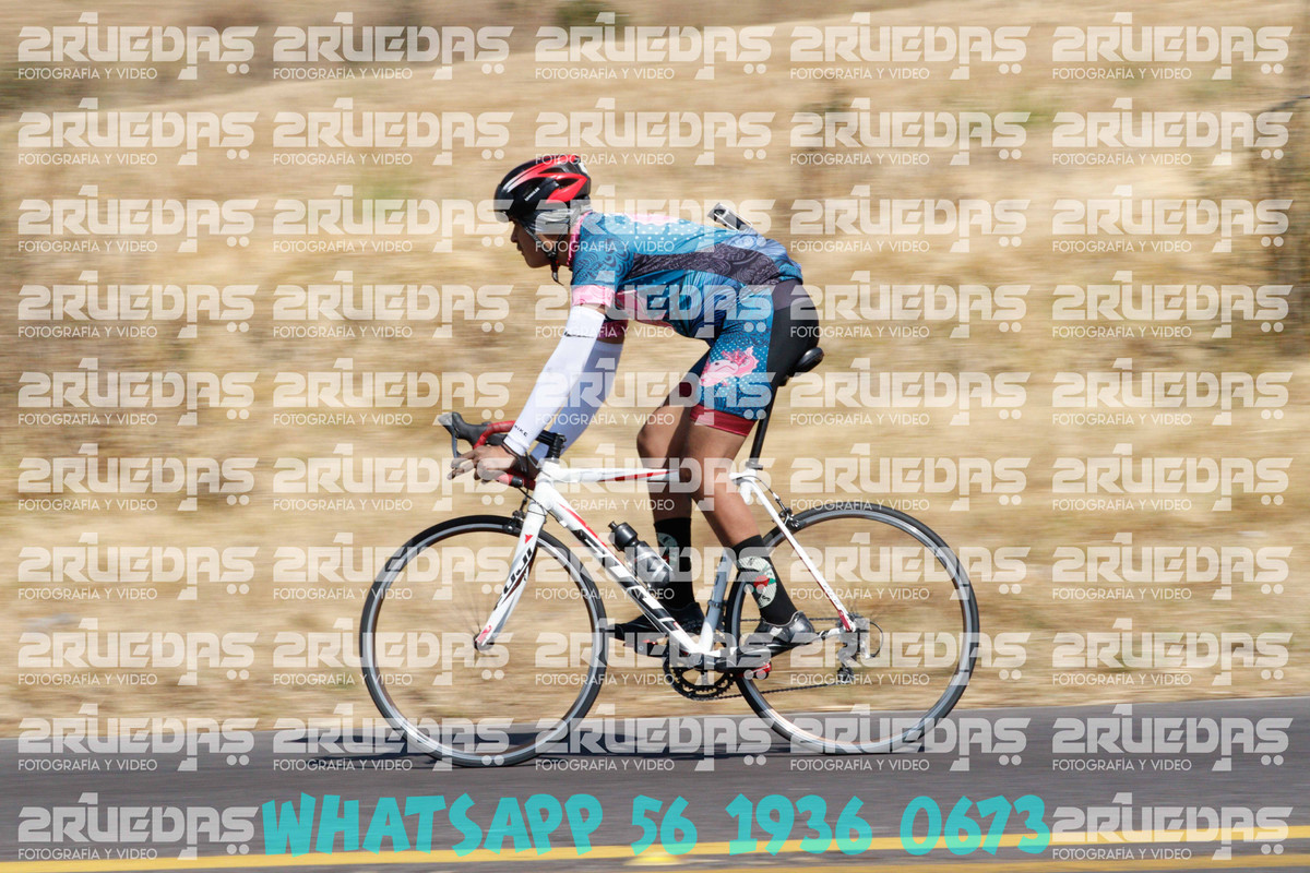 MG 0320 — Postimages