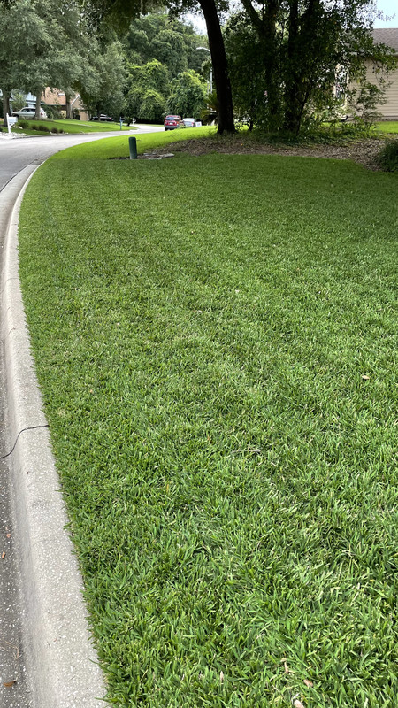 7515 EDEB 3 D77 45 D9 A33 F 8 AF3126 D739 F — Postimages