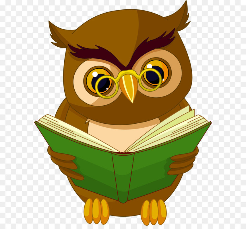 сова с книжкой — Postimages