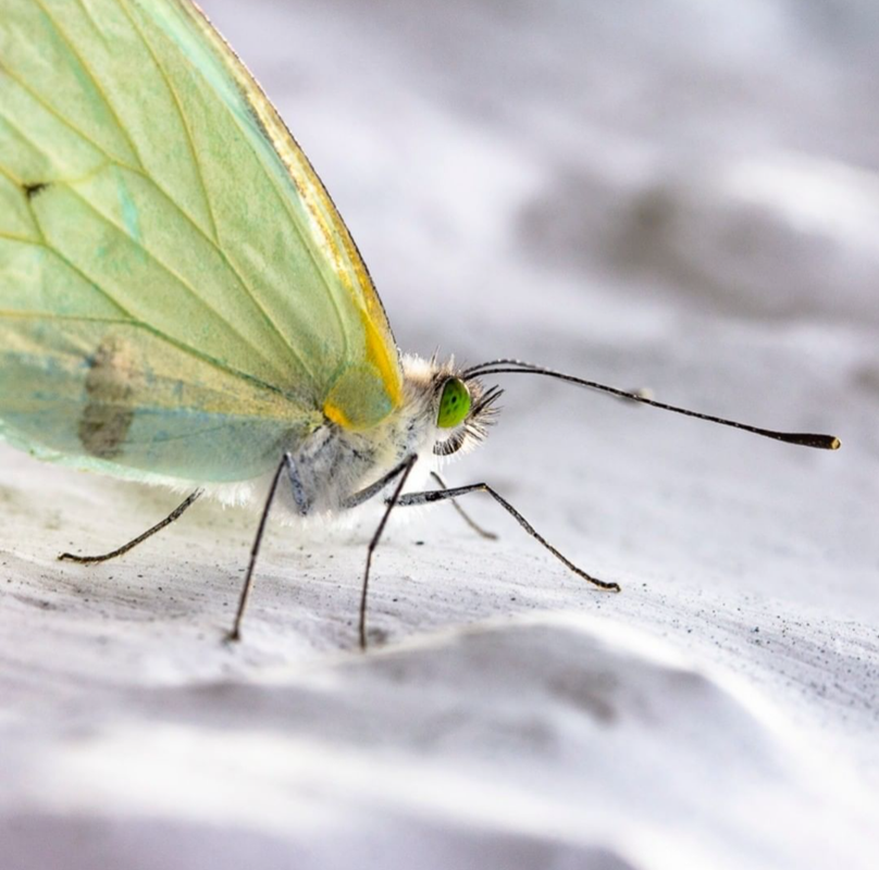 Screenshot 20240508 183511 — Postimages