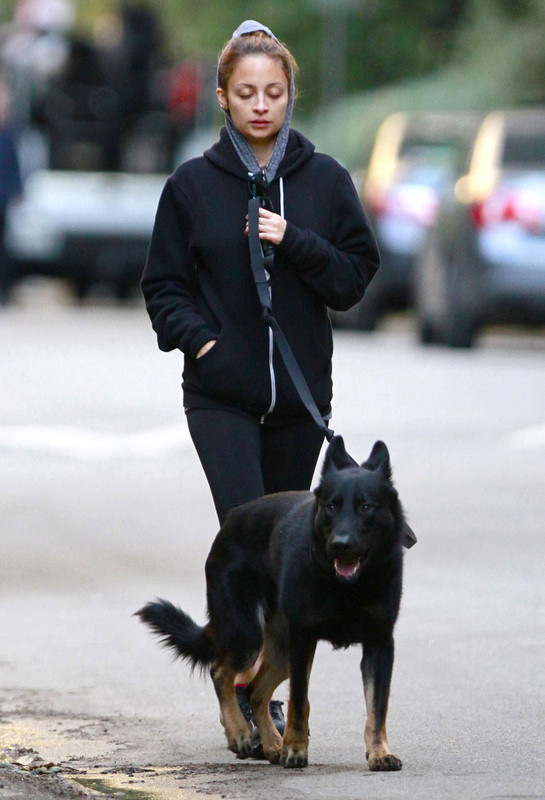 Nicole Richie Walking Dog Chilly Afternoon HXp V4 — Postimages