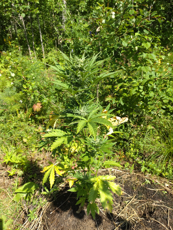 DSC 0429 (1) — Postimages