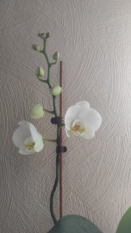 IMG 20230526 120320 — Postimages