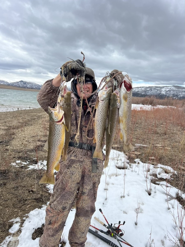 D76 DF334 FC48 4 DBA 8 B6 A AF9184 BB00 C9 — Postimages