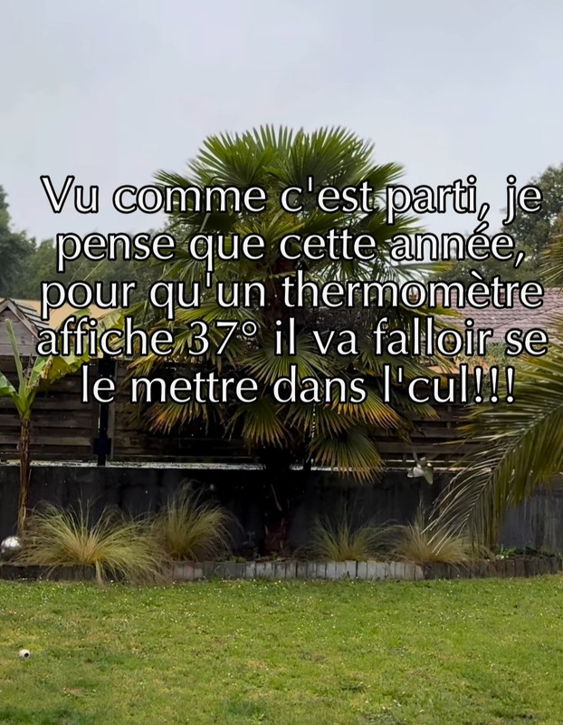 IMG 20240618 WA0006 — Postimages