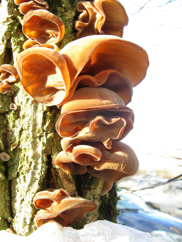 IMG 1847 — Postimages