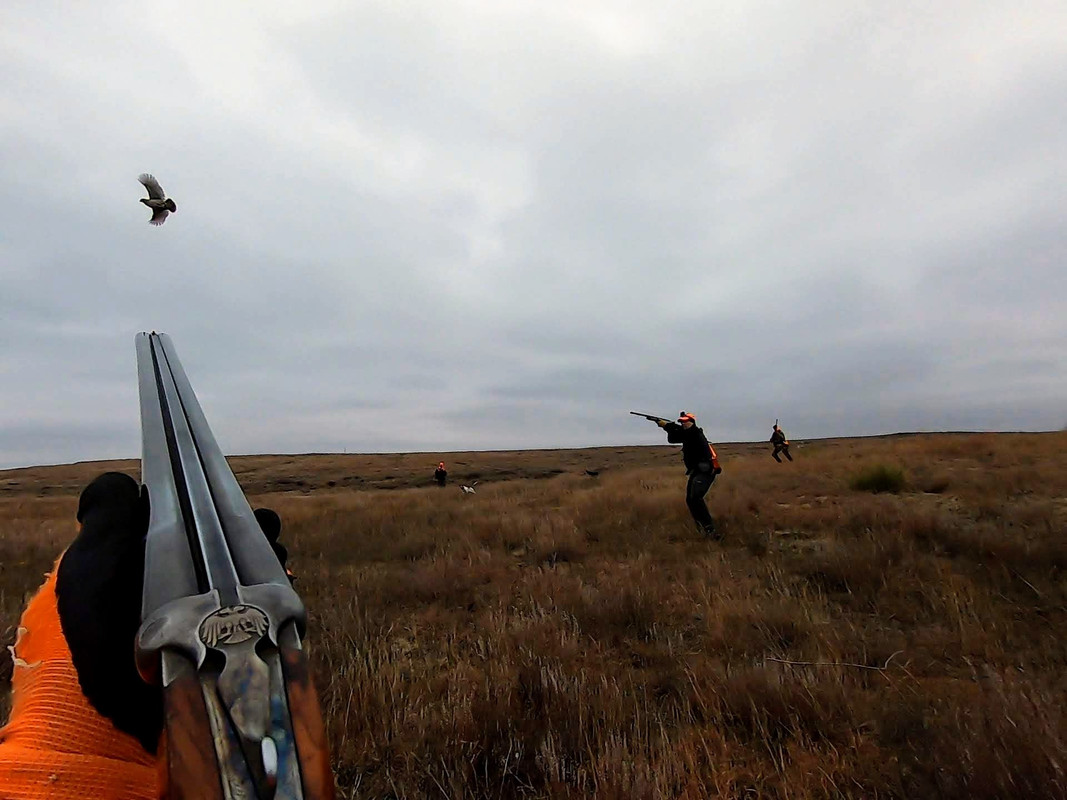 Lib Single2 — Postimages