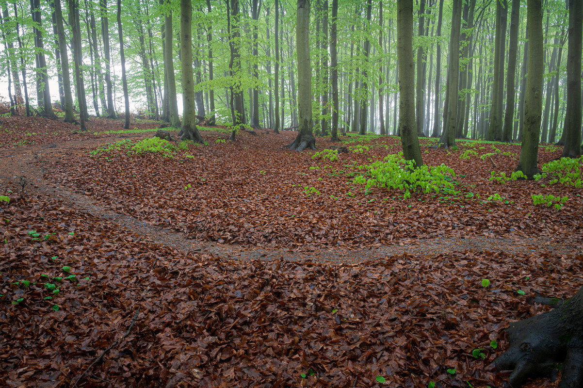 DSC 2496 — Postimages