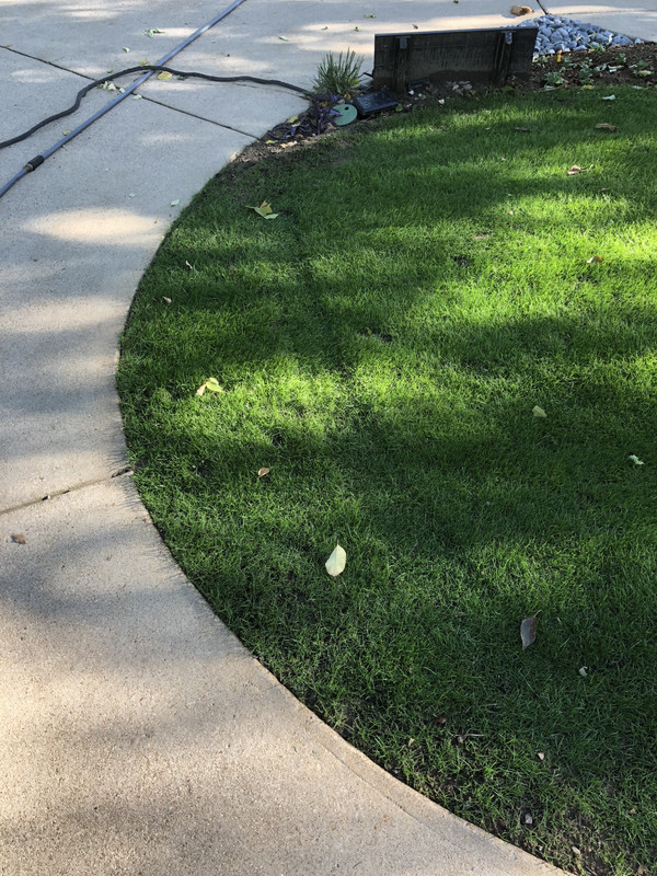 Best way to fix tire track. | Lawn Care Forum