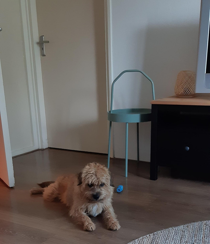 IMG 2361 — Postimages