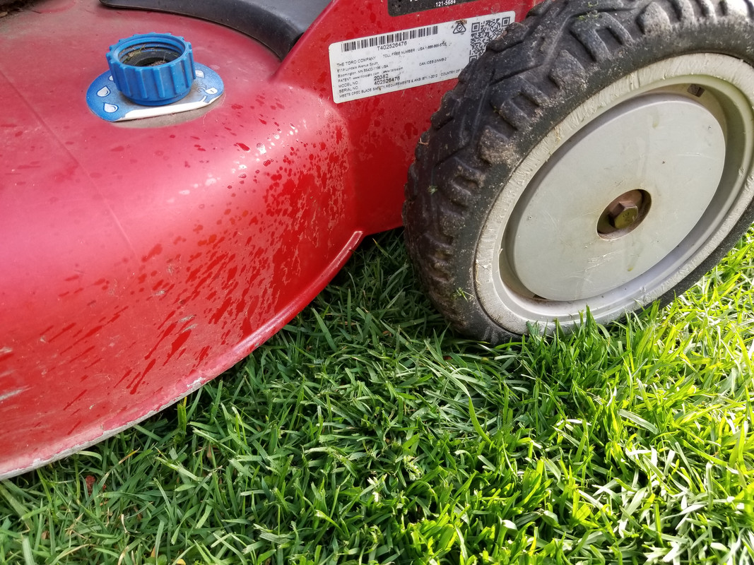 20230404 173639 — Postimages