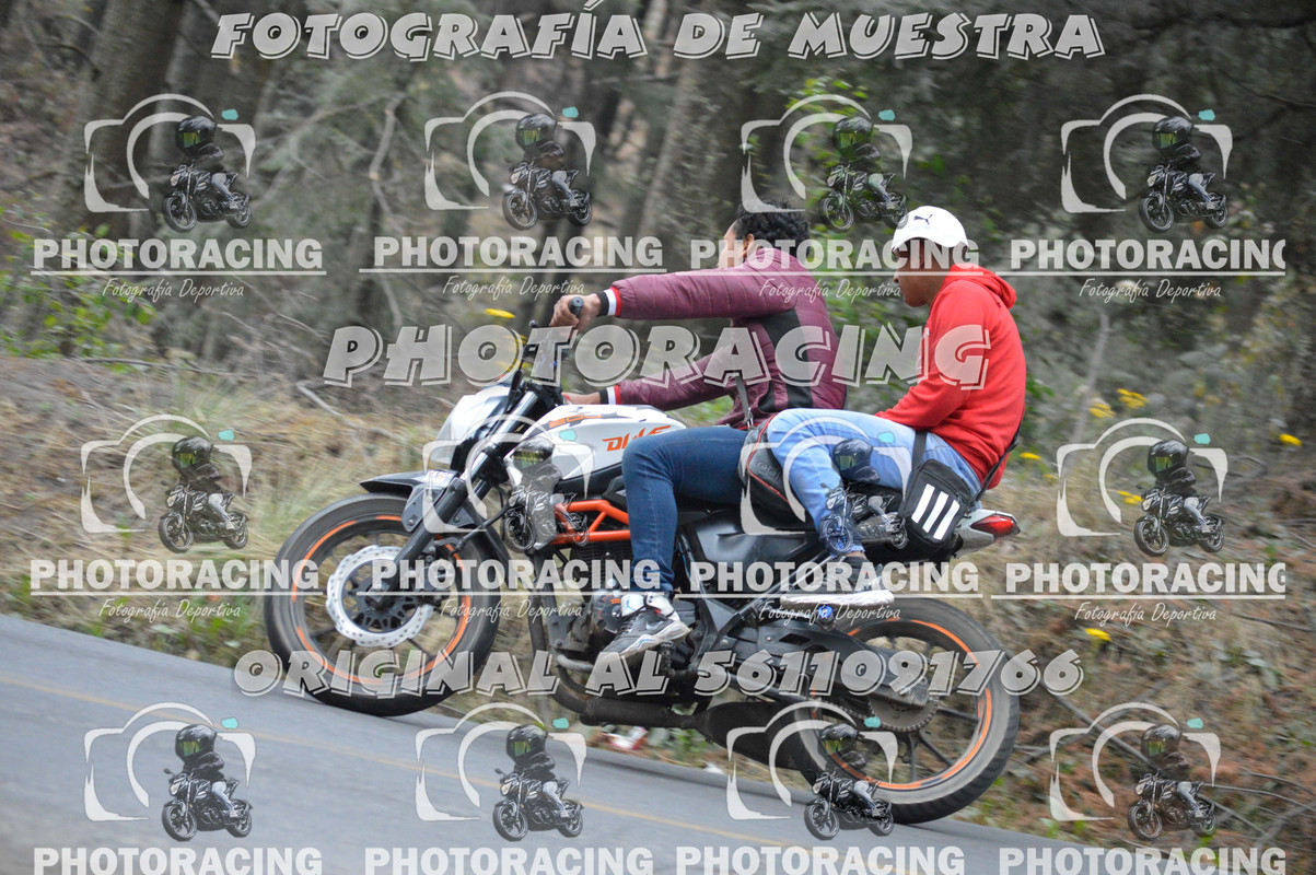 DSC0533 — Postimages