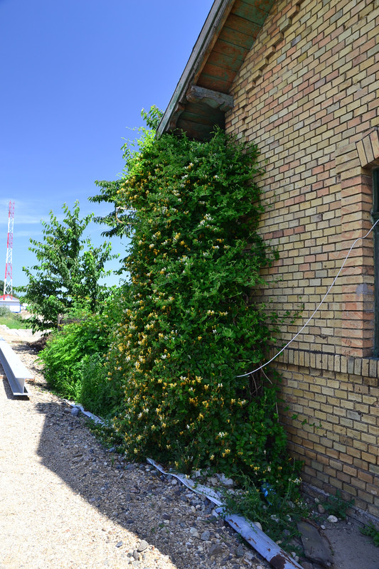 DSC 3772 — Postimages