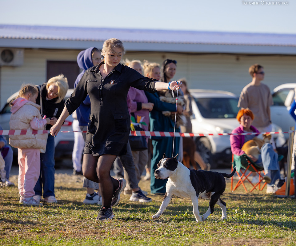 IMG 8669 — Postimages