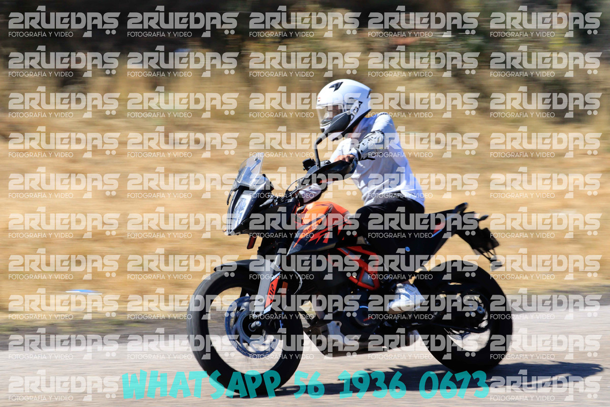 MG 1135 — Postimages