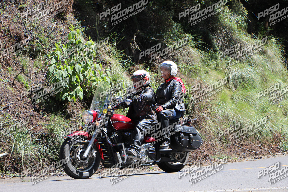 IMG 5262 wm 15626466 899999999 watermarked — Postimages