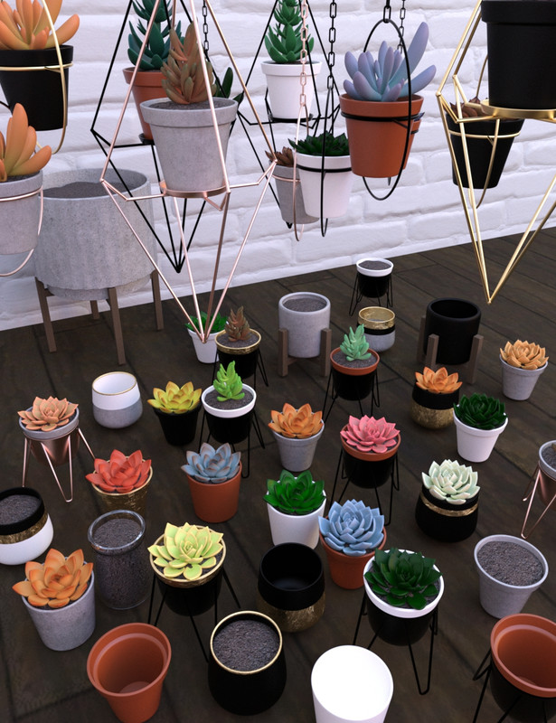 (FILLED) Modern City Indoor Garden Props - Free Daz 3D Models