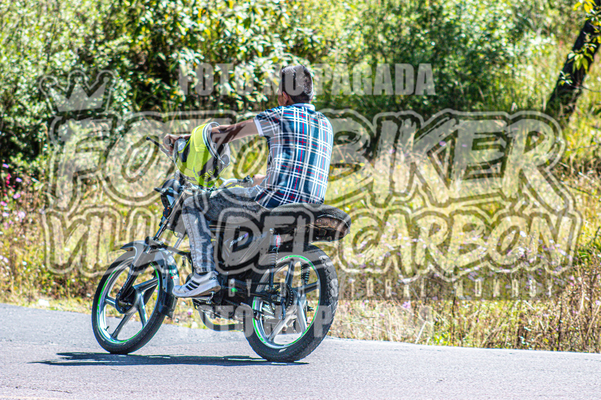 CV 401 — Postimages