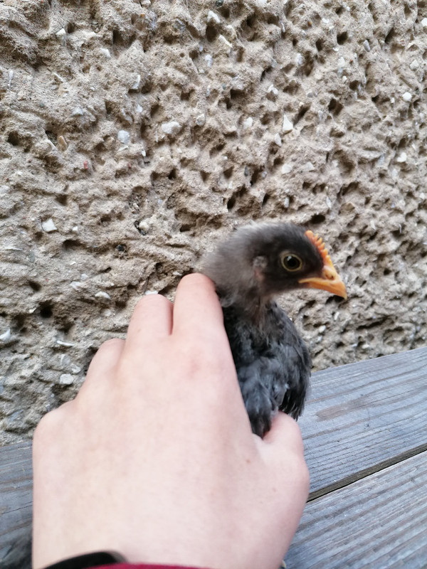 IMG 20230511 195817 — Postimages